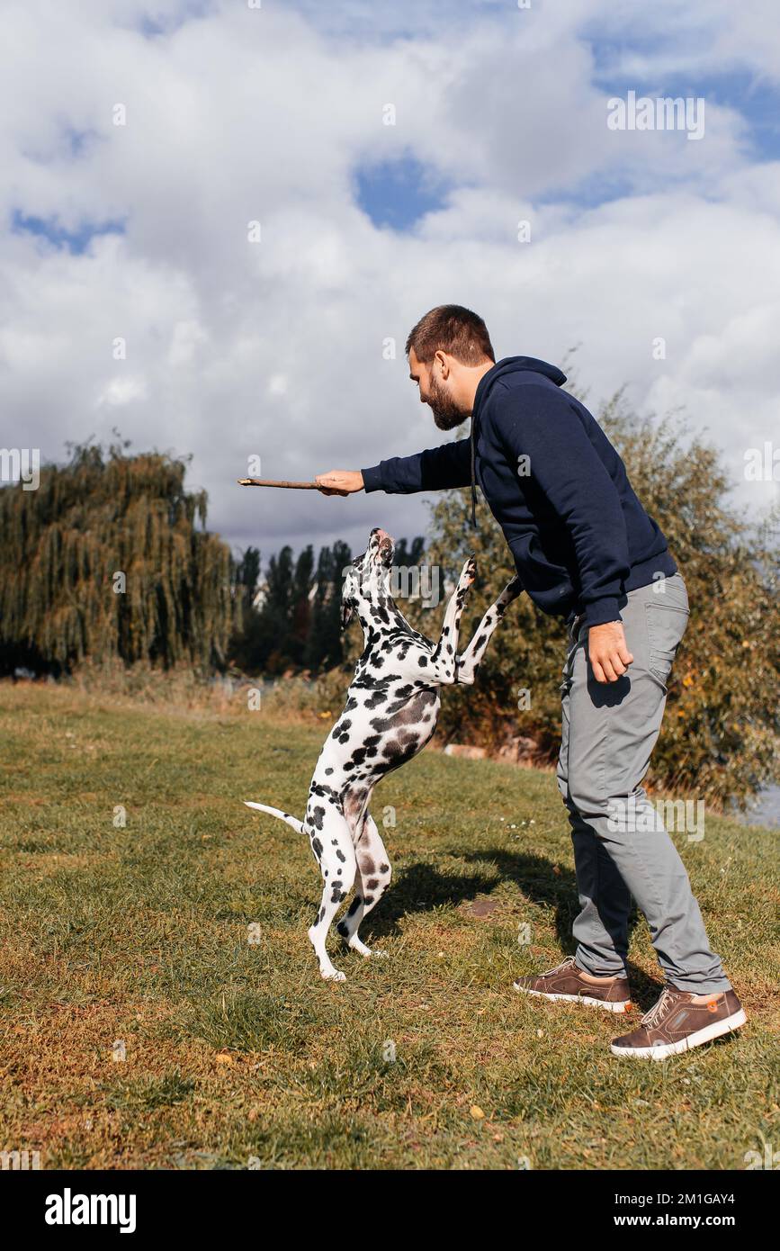 Handsome young man with dog outdoors. Man on the green grass with a dog ...