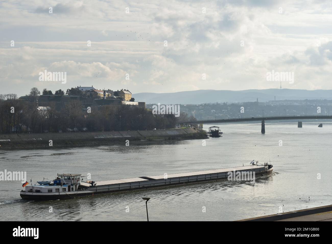 River boat passing by on Danube in Novi Sad with a view of Petrovaradin ...