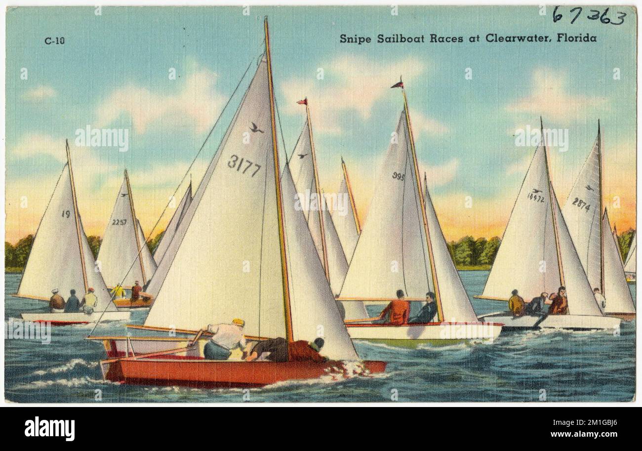 Snipe sailboat races at Clearwater, Florida , Boats, Tichnor Brothers ...
