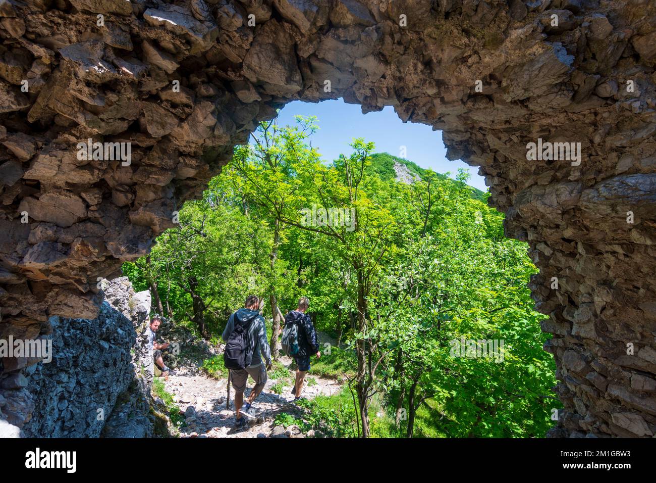 Ostry kamen castle scharfenstein castle hi-res stock photography and ...