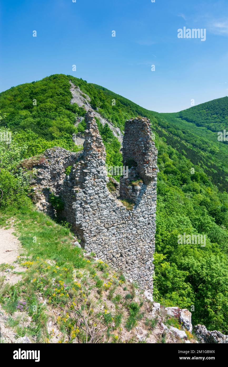 View to hill zaruby in male karpaty little carpathians hi-res stock ...