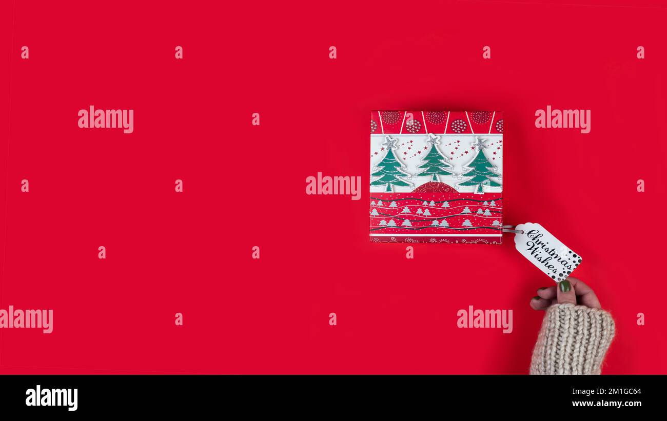 Banner. Female hands in white wolen sweater holding present box with ...