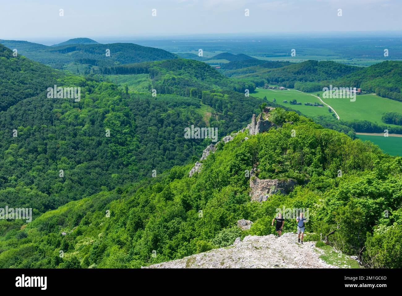 Bukova (Bixard): view from hill Zaruby to Ostry Kameň Castle ...
