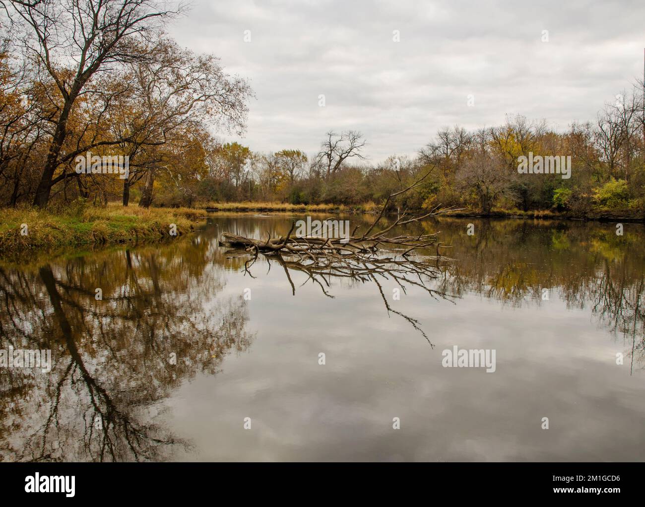The DuPage River flows through Hammel Woods with fall foliage leaving ...