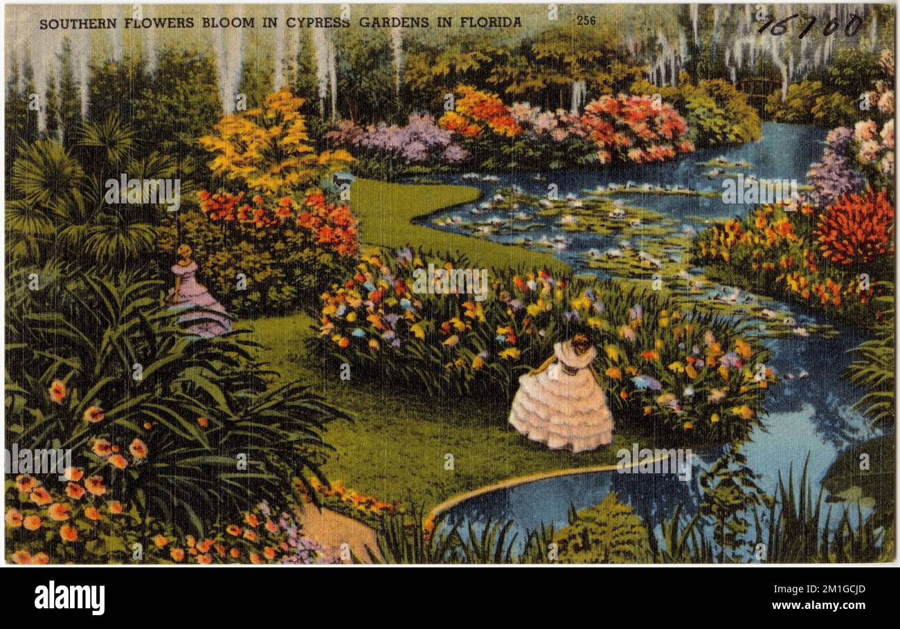 Southern flowers bloom in Cypress Gardens in Florida , Tichnor Brothers ...