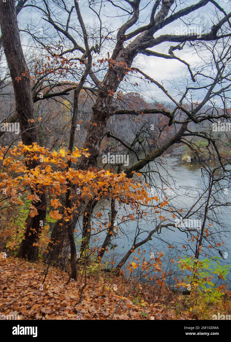 The DuPage River flows through a valley it created eons ago, Hammel ...
