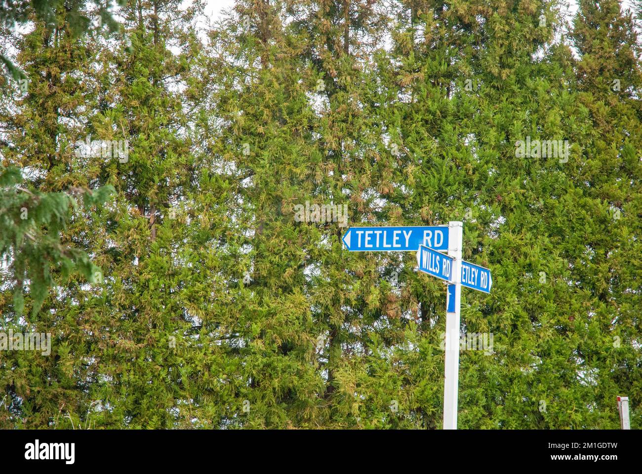Tetley island hi-res stock photography and images - Alamy