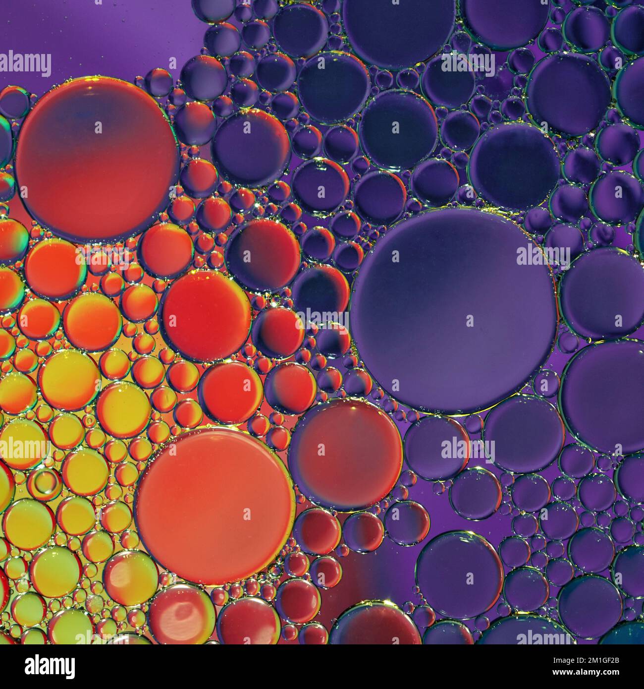 multi colored oil circles on the water, colorful background Stock Photo ...