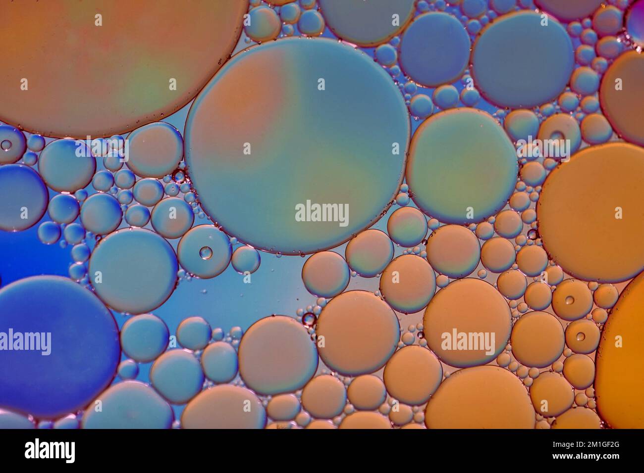 multi colored oil circles on the water, colorful background Stock Photo ...