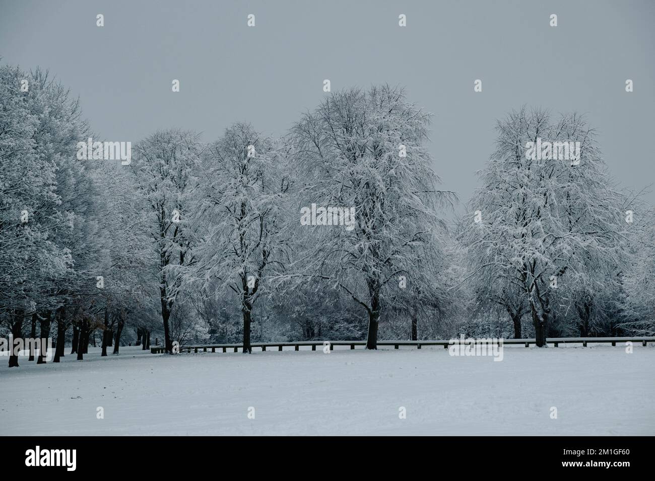 Winter weather conditions in Hertfordshire in the UK in 2022 heaviest ...