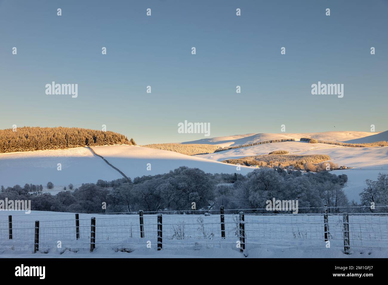 Speyside, Moray, UK. 12th Dec, 2022. This is the scene in the Malt ...