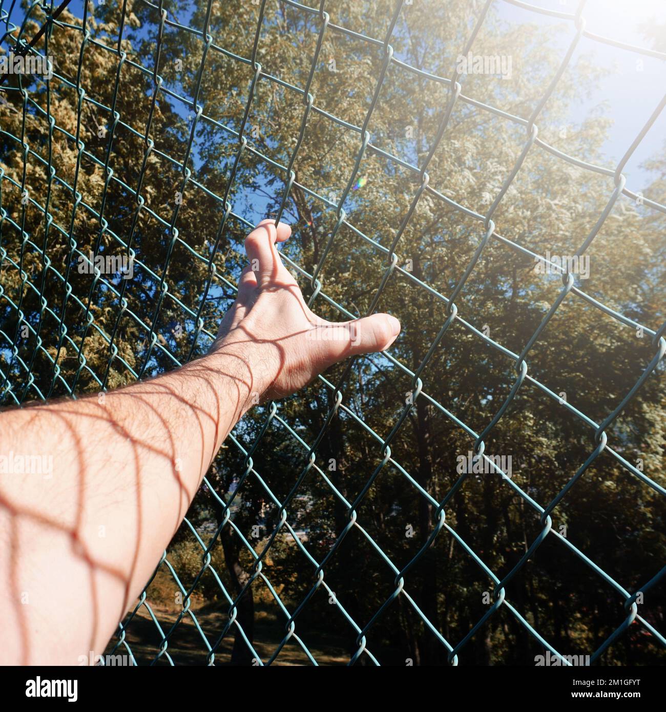 man hand grabbing metallic fence, feeling free Stock Photo - Alamy