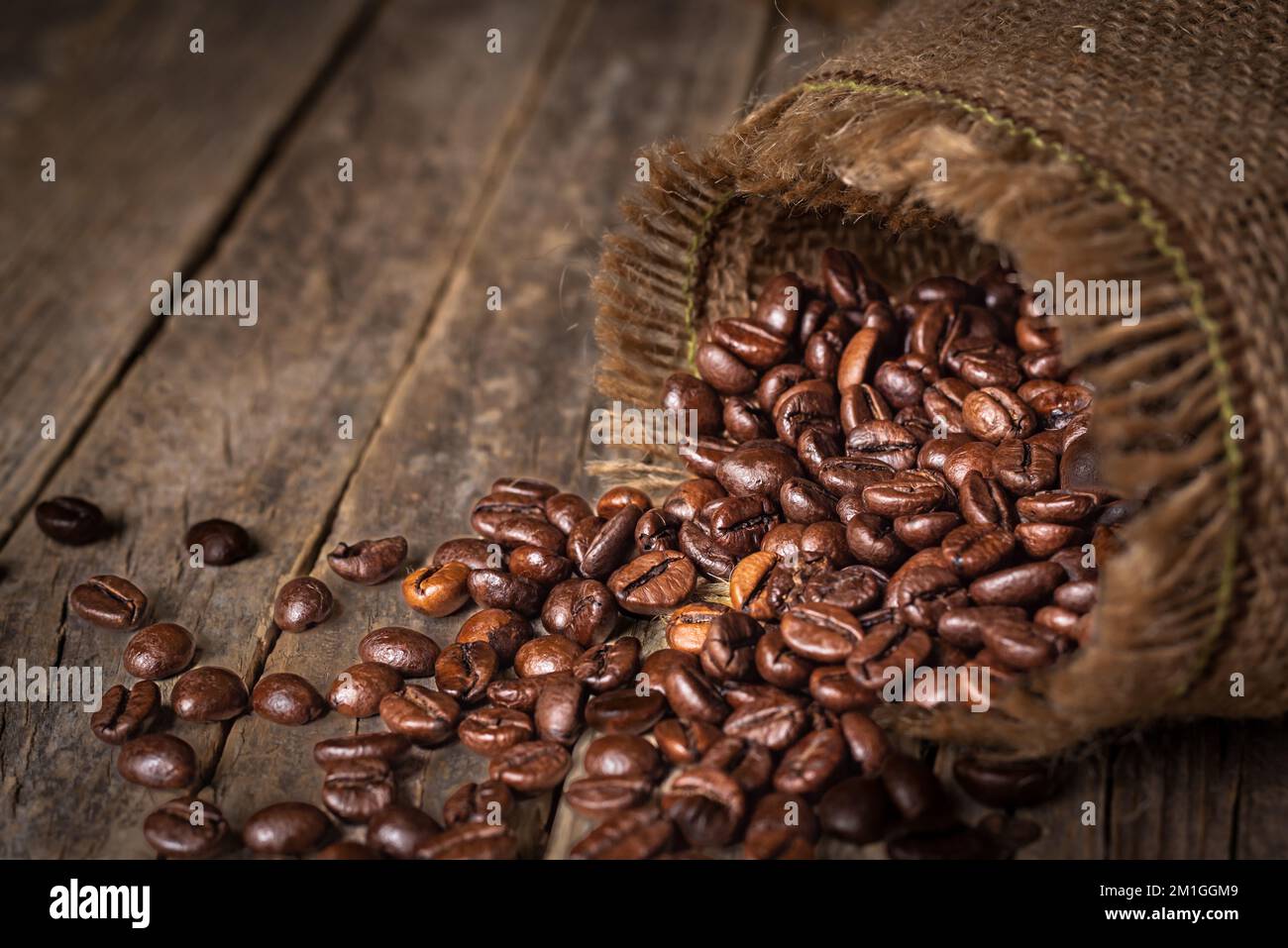 Sack of coffee beans overturned on an old rustic table with the beans ...