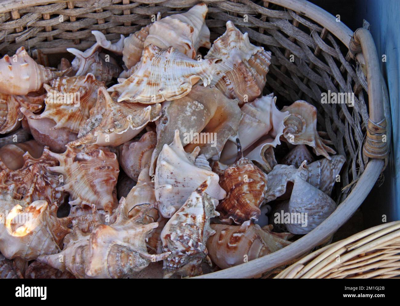 Fishing wicker basket fish hi-res stock photography and images - Alamy