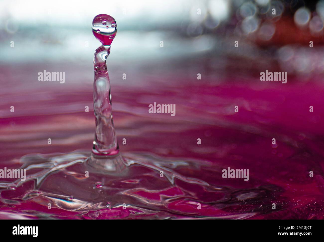 Water splash with pink background. the drop looks like a person's face ...