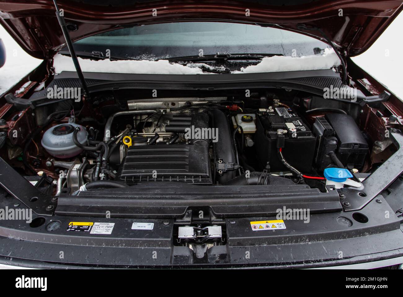 MOSCOW, RUSSIA - JANUARY 22, 2022. Volkswagen Tiguan (AD1) 4motion ...