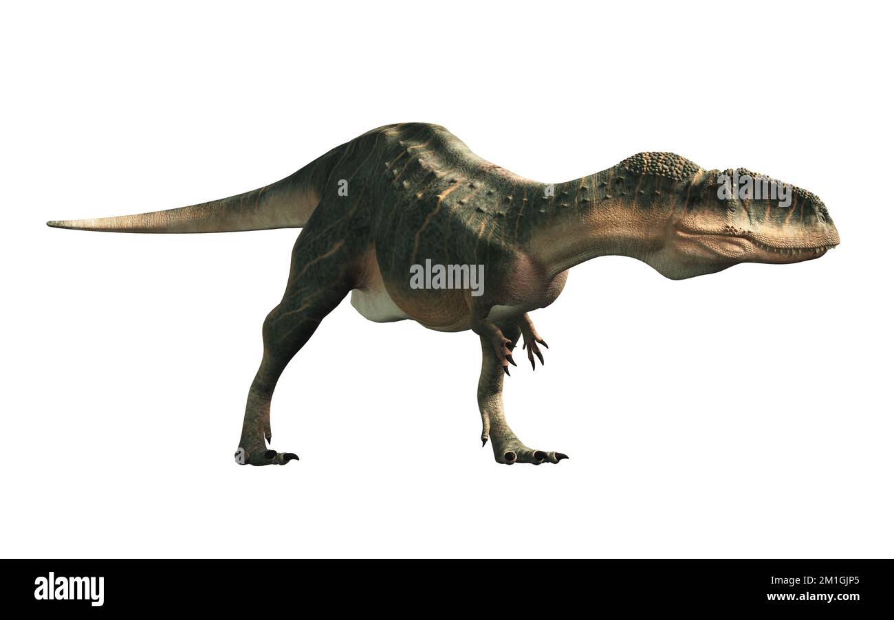 Abelisaurus was a bipedal carnivorous theropod dinosaur that lived in ...