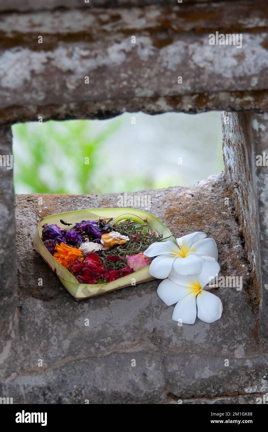 Traditional balinese offerings to gods in Bali with flowers Stock Photo ...