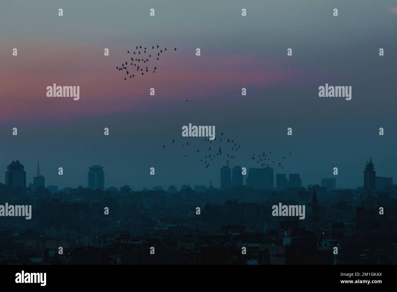 A beautiful cityscape of Cairo at sunset with flocks of birds in the ...
