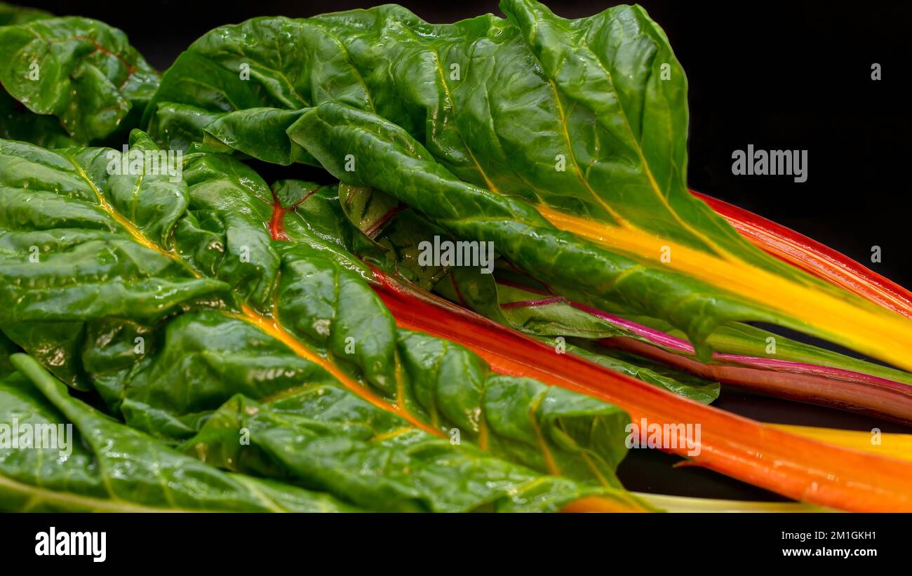 Bright,colourful and fresh Swiss rainbow chard Stock Photo - Alamy
