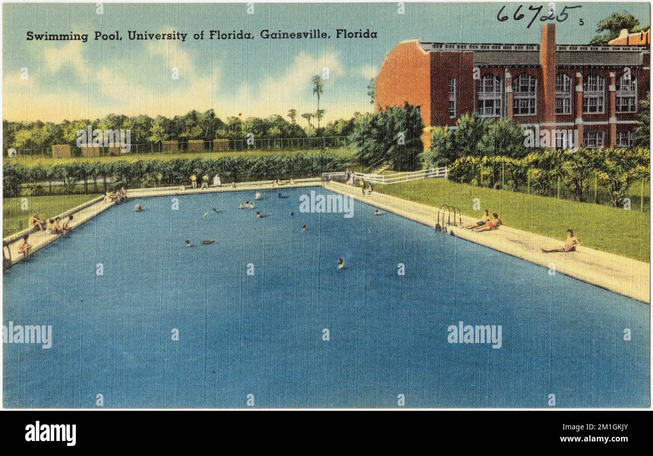 Swimming pool, University of Florida, Gainesville, Florida ...