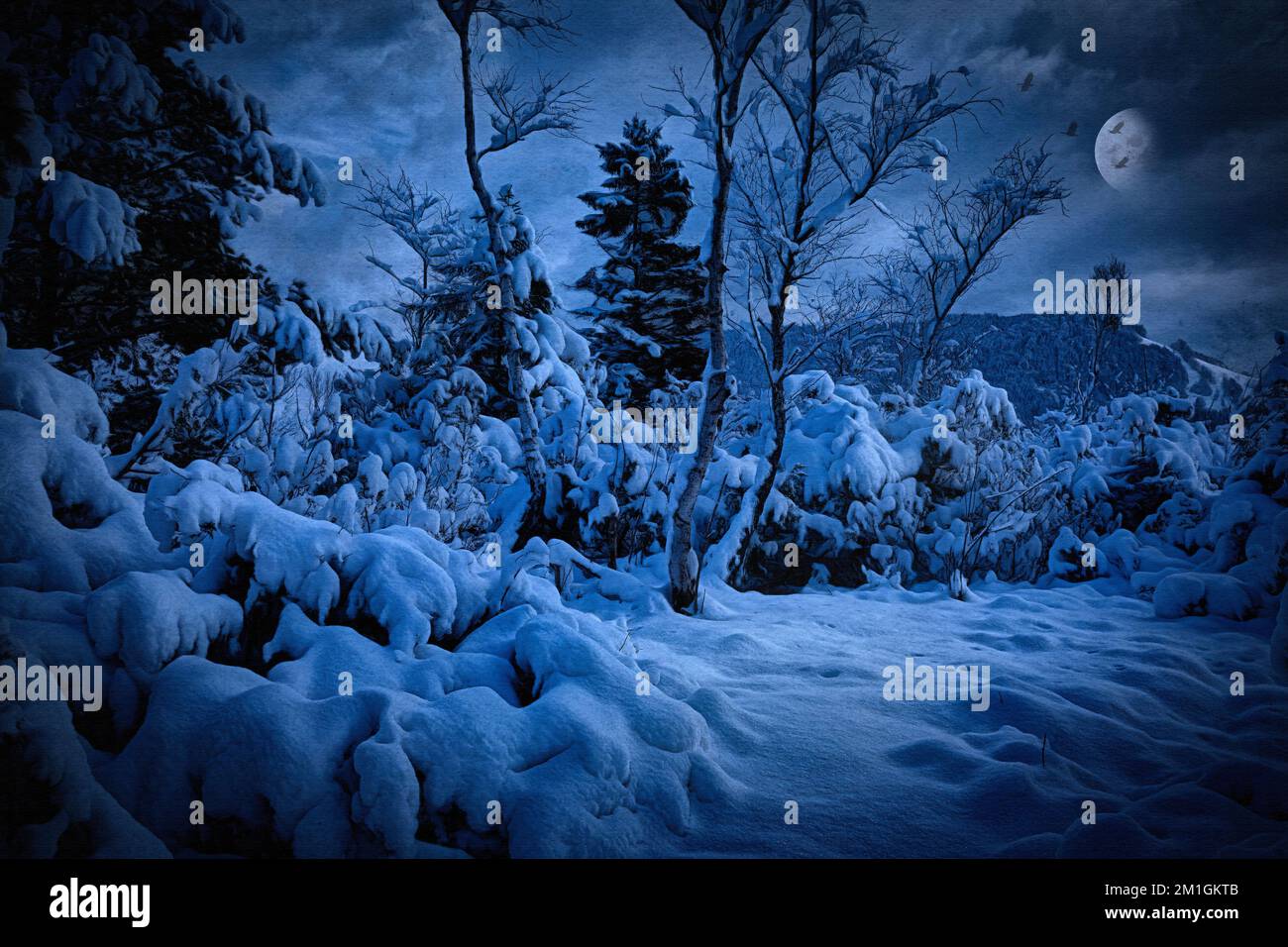 DE - BAVARIA: Moonlit scene in the Isar Valley (Isartal) near Lenggries ...