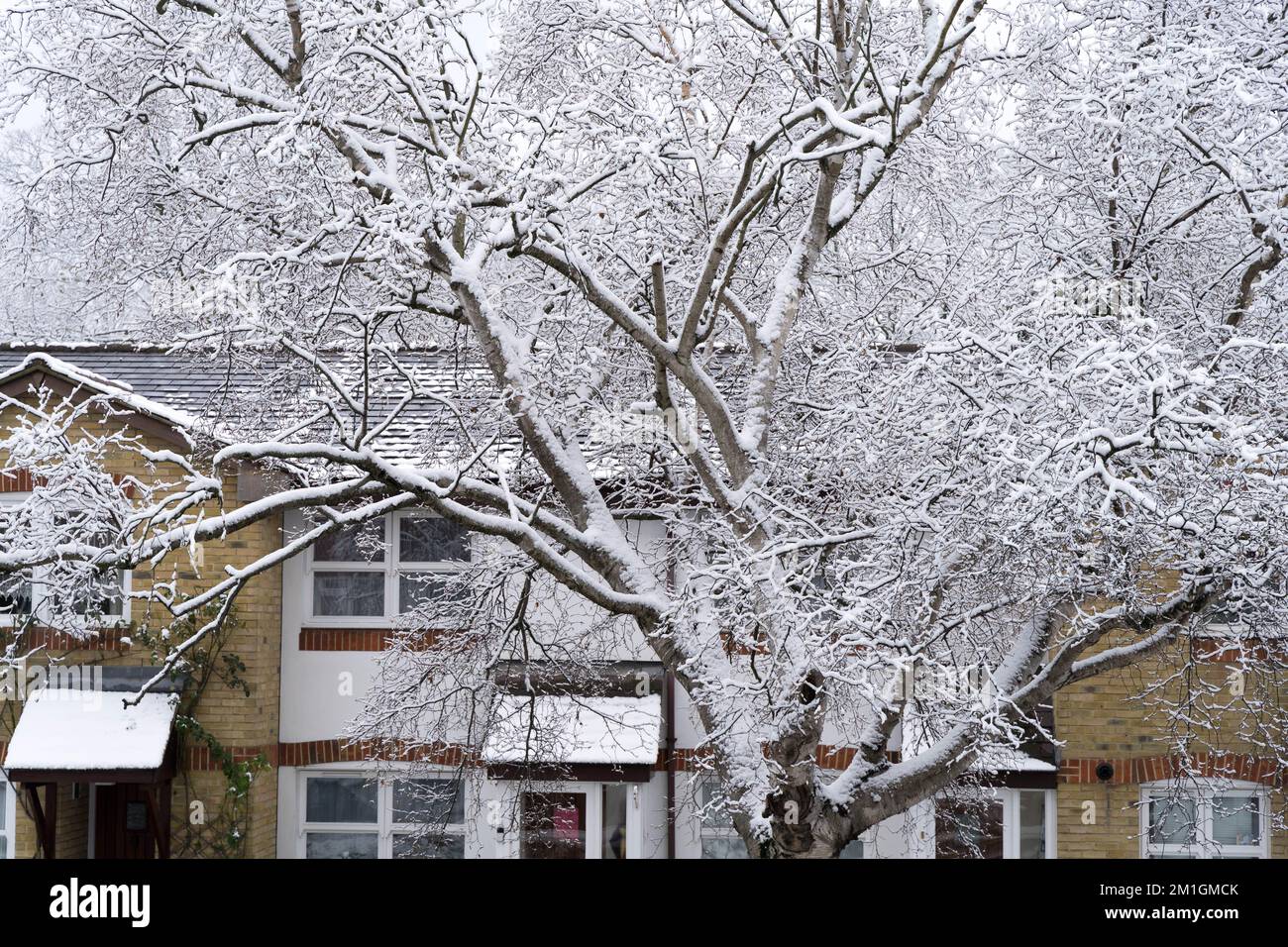 London UK 12 December 2022 . UK weather. Overnight heavy snow from ...