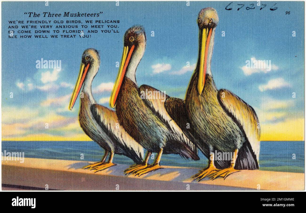 'The three musketeers' , Beaches, Tichnor Brothers Collection ...