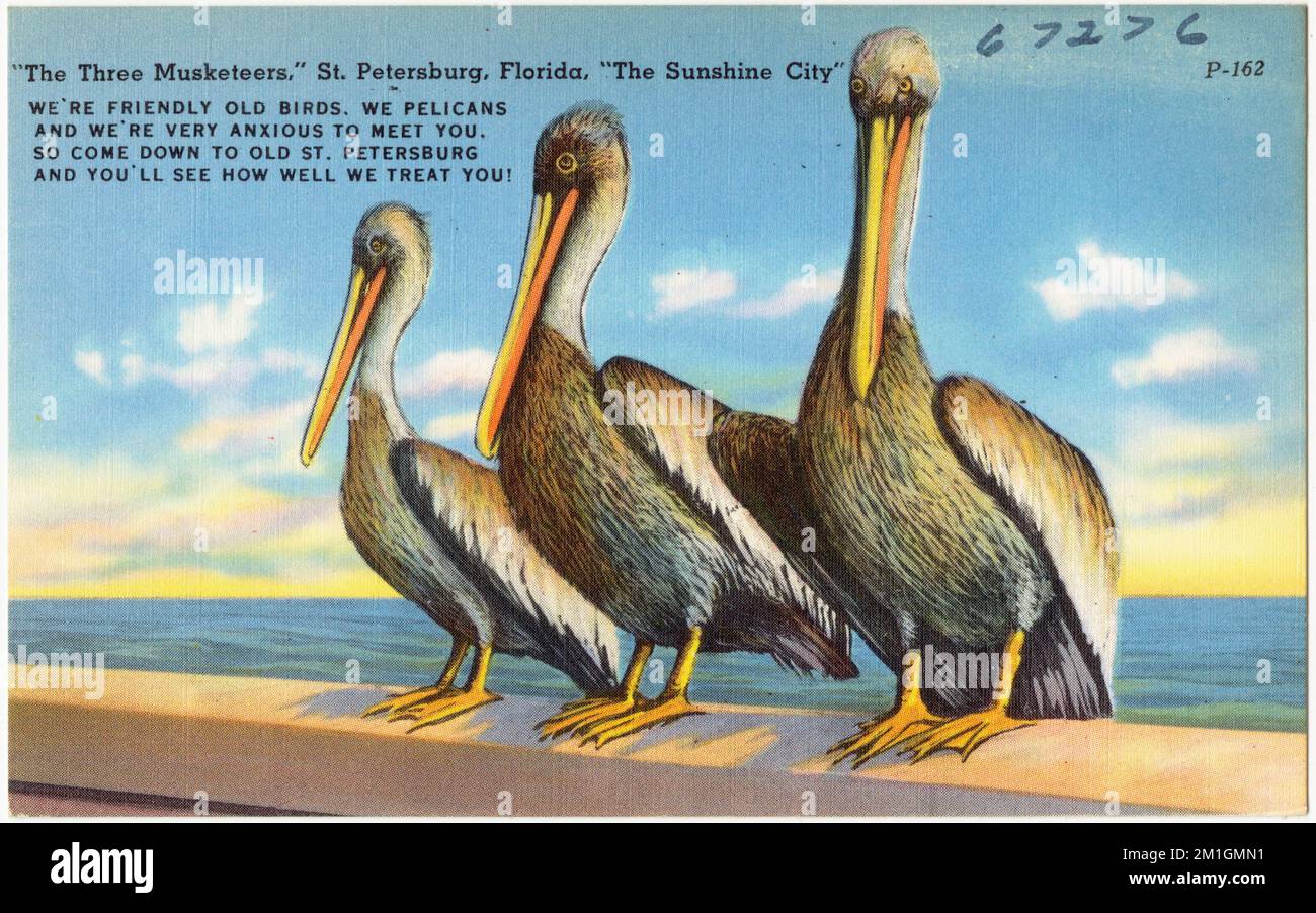 'The three musketeers,' St. Petersburg, Florida, 'the sunshine city ...