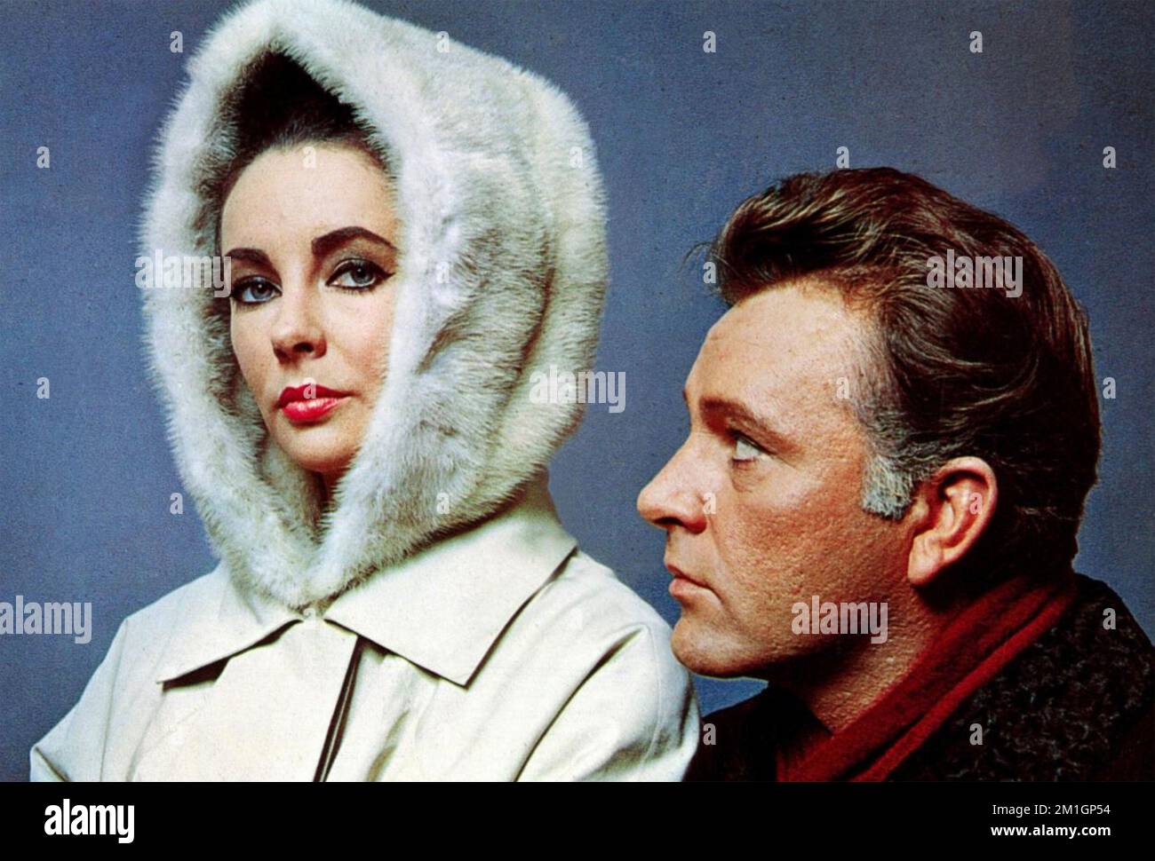 Elizabeth taylor v i p s 1963 hi-res stock photography and images - Alamy