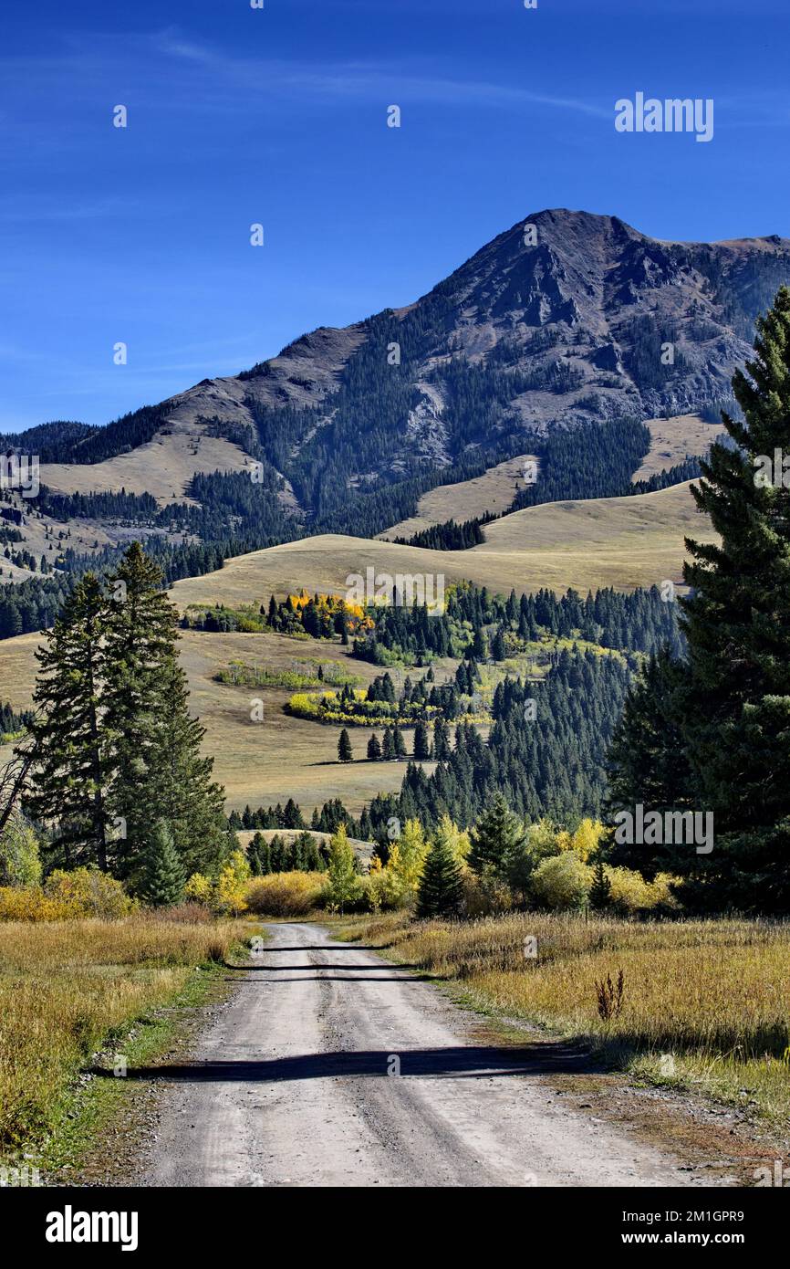 Tom miner creek road hi-res stock photography and images - Alamy