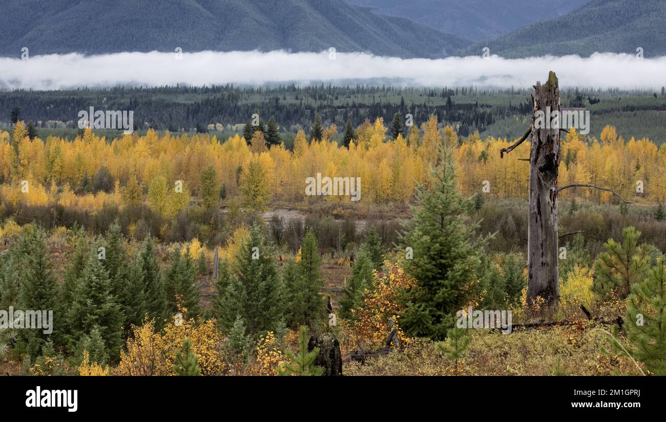Bowman Lake Road landscape in Glacier National Park's Rocky Mountains ...
