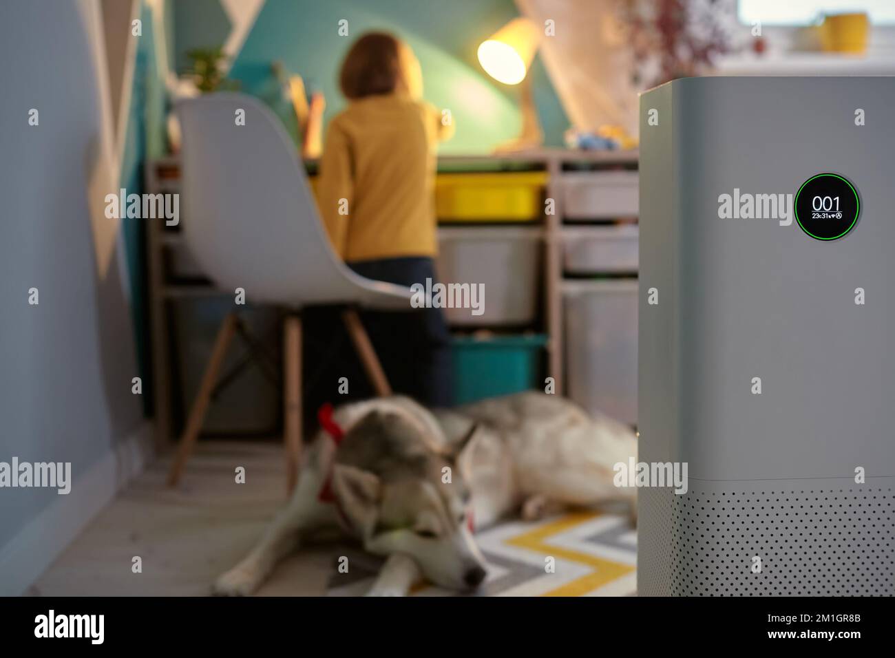 Air purifier in the children's room with an allergy child and a dog ...