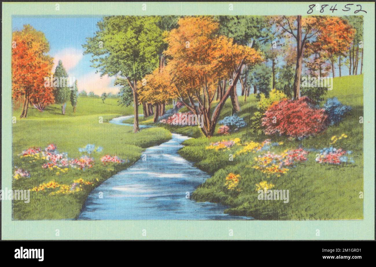 Tree and flower-lined river , Trees, Rivers, Flowers, Tichnor Brothers ...