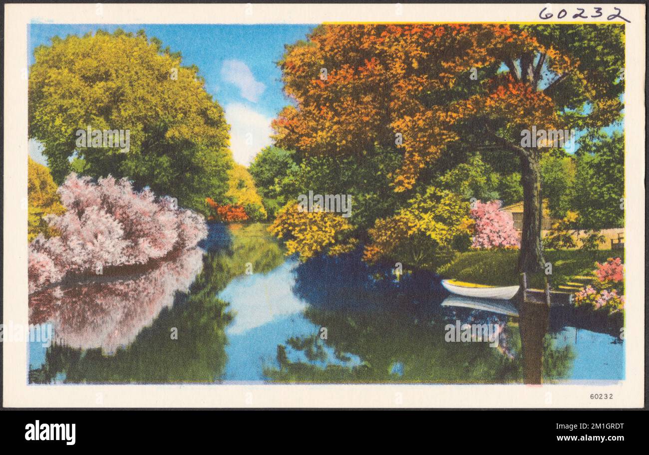 Tree-lined body of water, boat on the right , Bodies of water, Trees ...