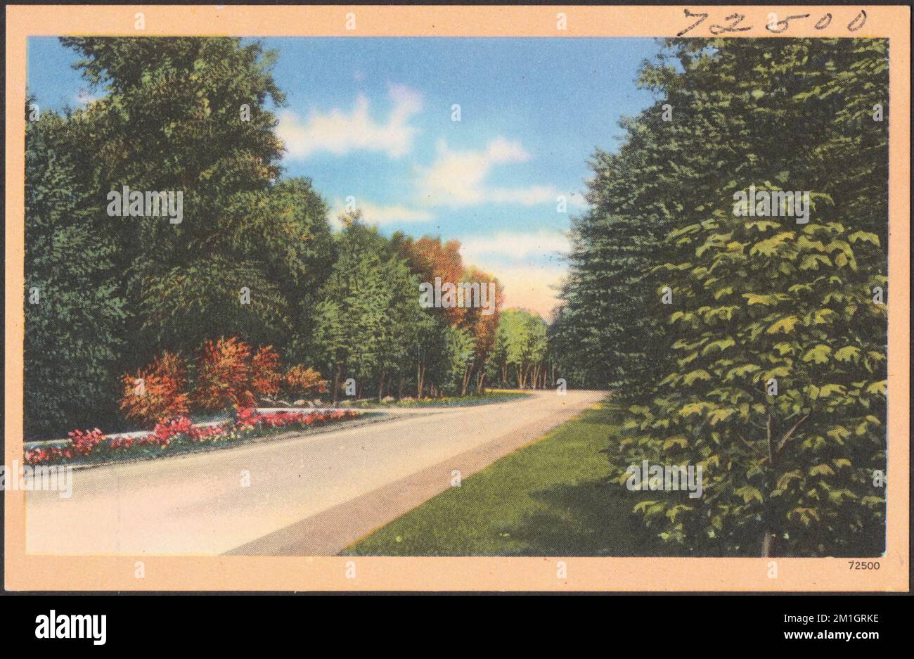 Tree-lined road , Roads, Trees, Tichnor Brothers Collection, postcards ...