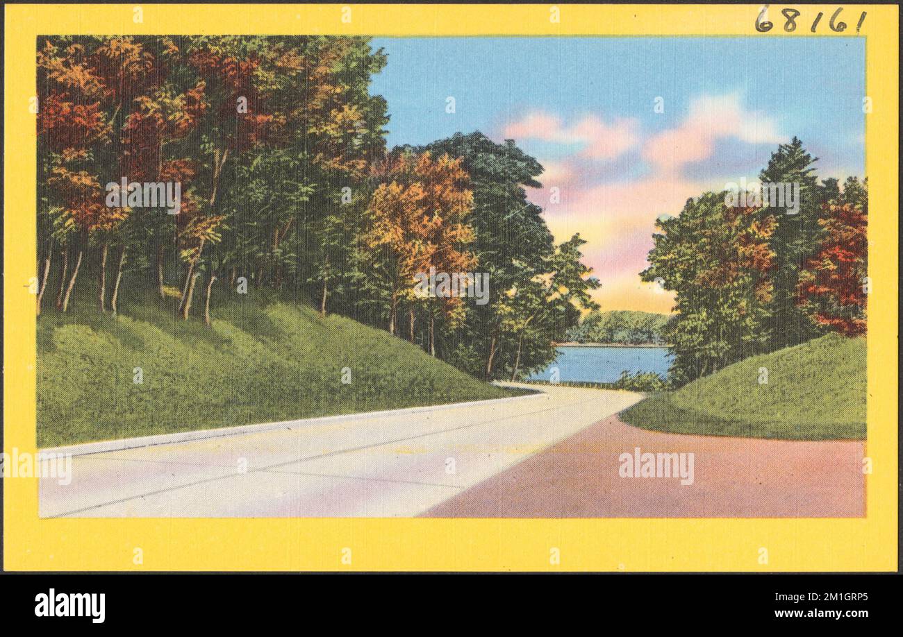 Tree-lined road, body of water in background , Bodies of water, Trees ...