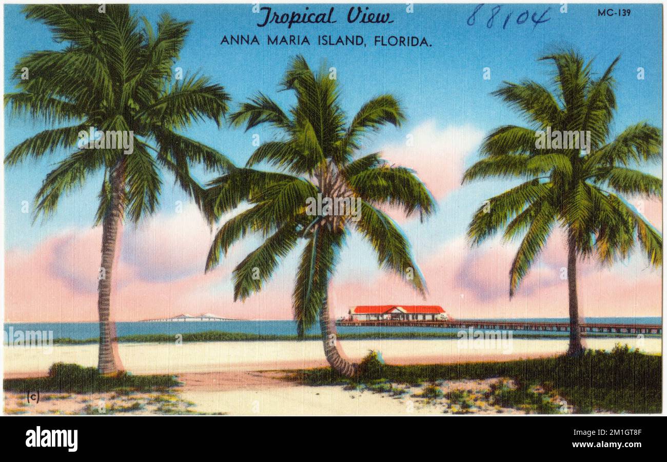 Tropical view, Anna Maria Island, Florida , Tichnor Brothers Collection ...