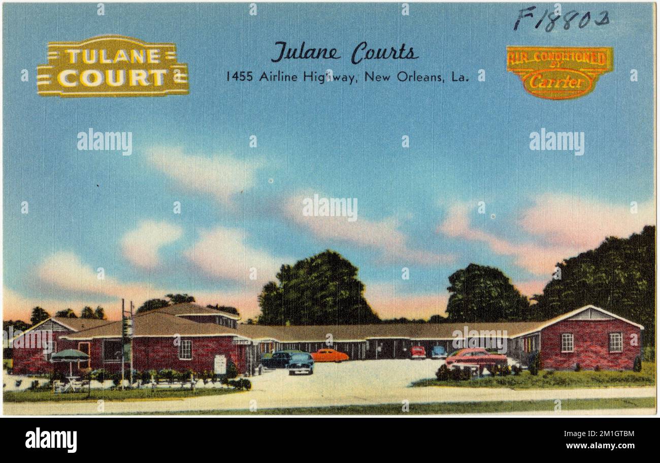 Tulane Cut Out Stock Images & Pictures - Alamy