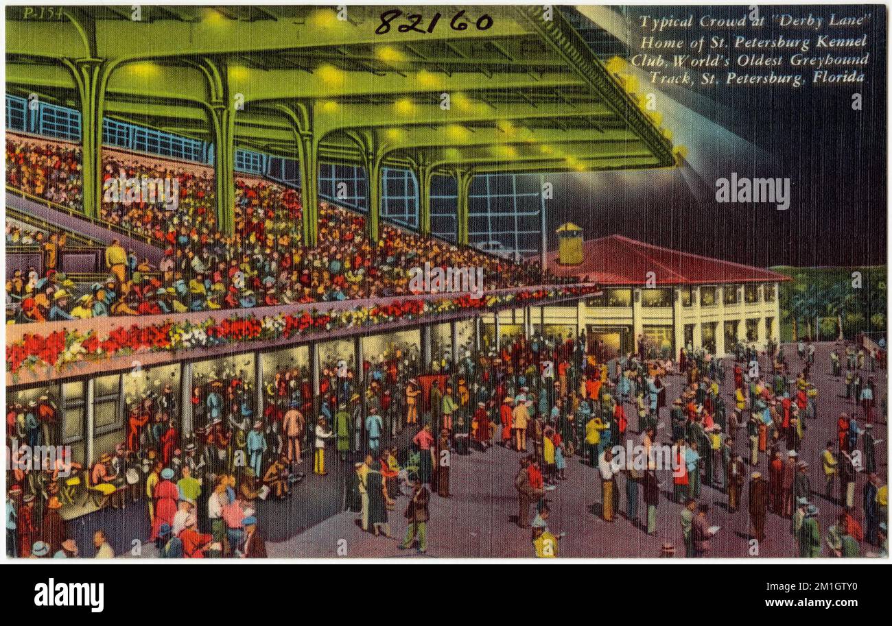 Typical crowd at 'Derby Lane,' home of St. Petersburg Kennel Club ...