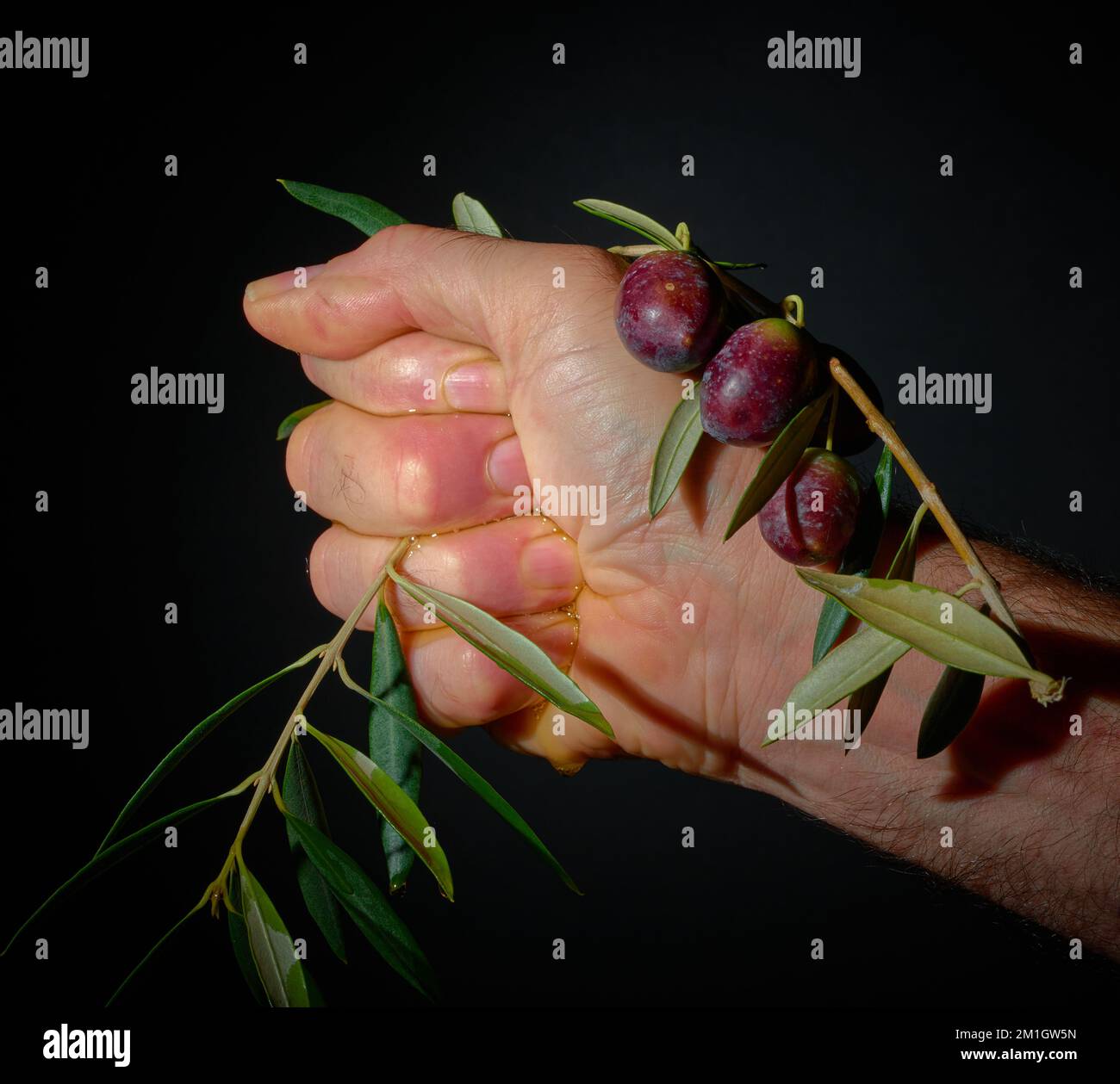 Crystalline lens hi-res stock photography and images - Alamy