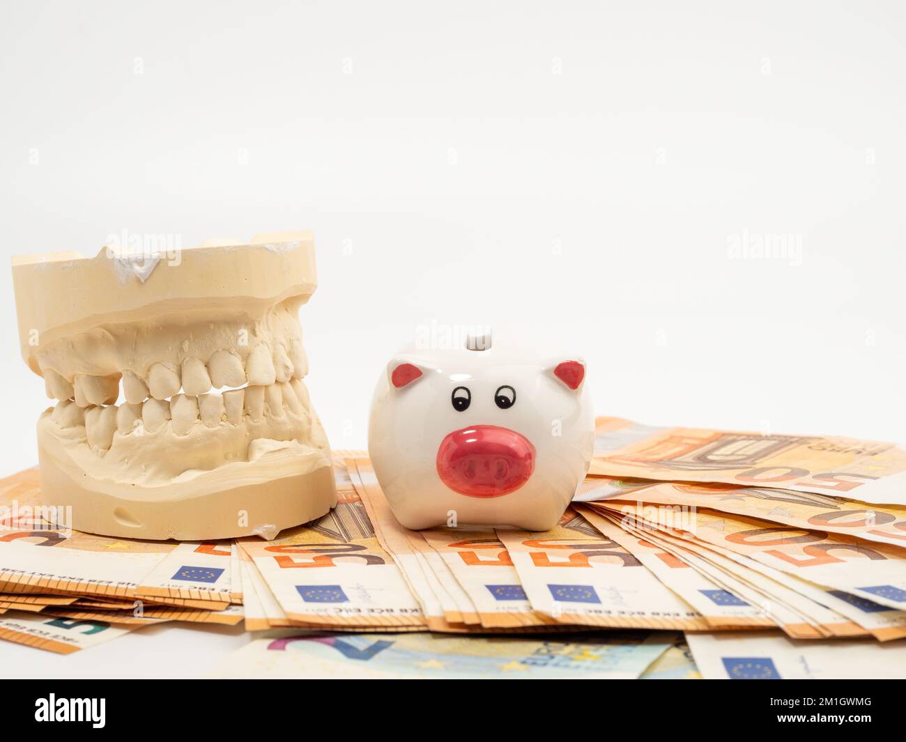 Dental casts, piggy bank and banknotes on a white background. Plaster ...