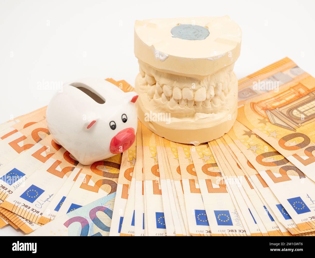 Dental casts, piggy bank and banknotes on a white background. Plaster ...
