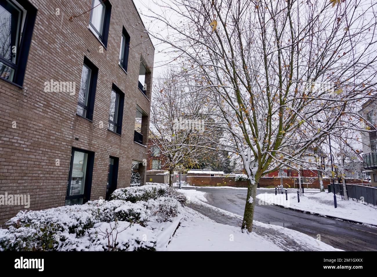 London snowflake hi-res stock photography and images - Alamy