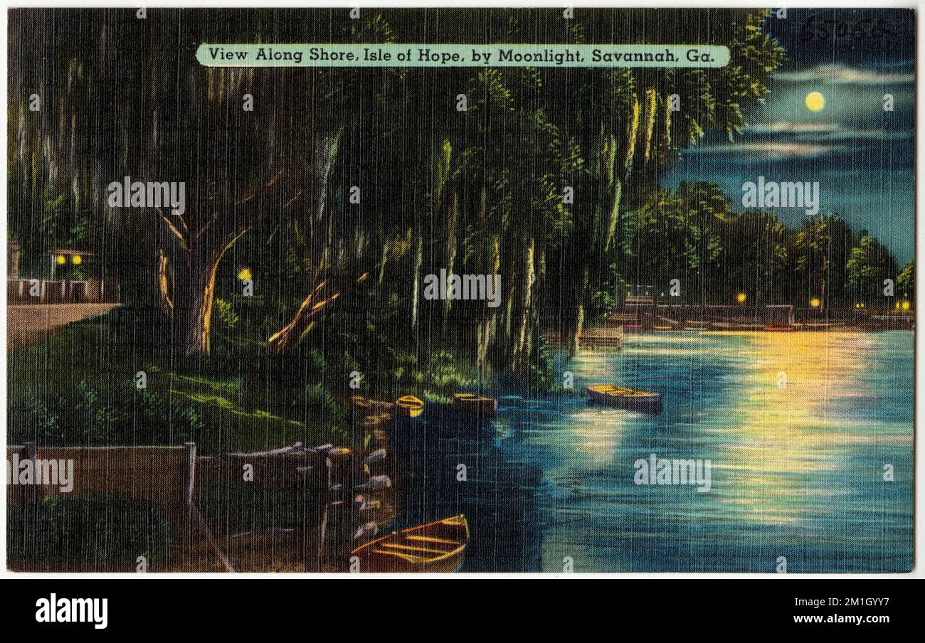 View along shore, Isle of Hope, by moonlight, Savannah, Ga. , Seas ...