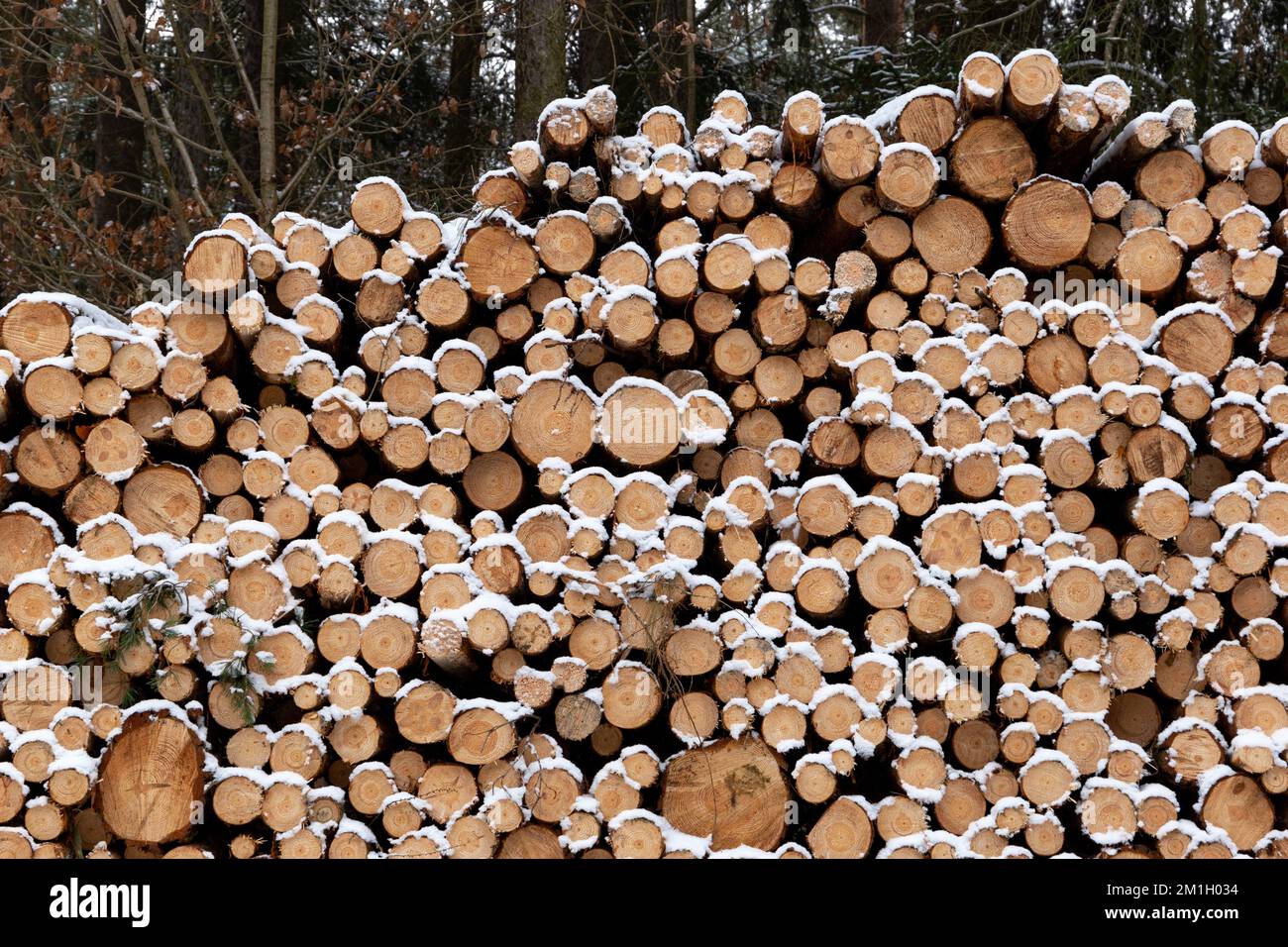 Danger log stack hi-res stock photography and images - Alamy