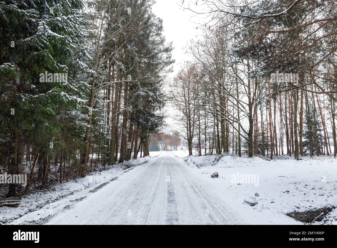 Snowy road in winter forest Stock Photo - Alamy