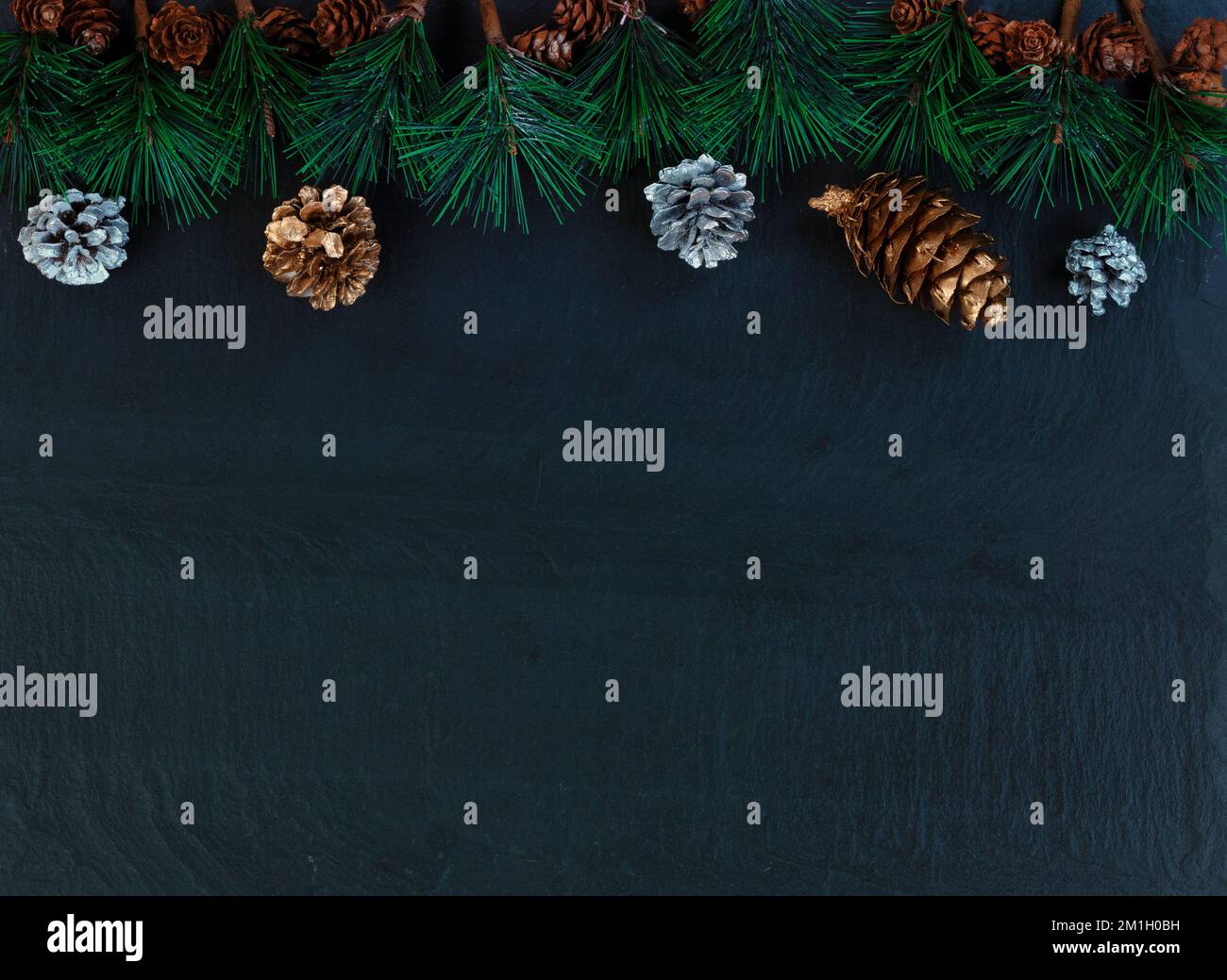 Border of Christmas fir tip tree branches and gold silver pine cones on ...