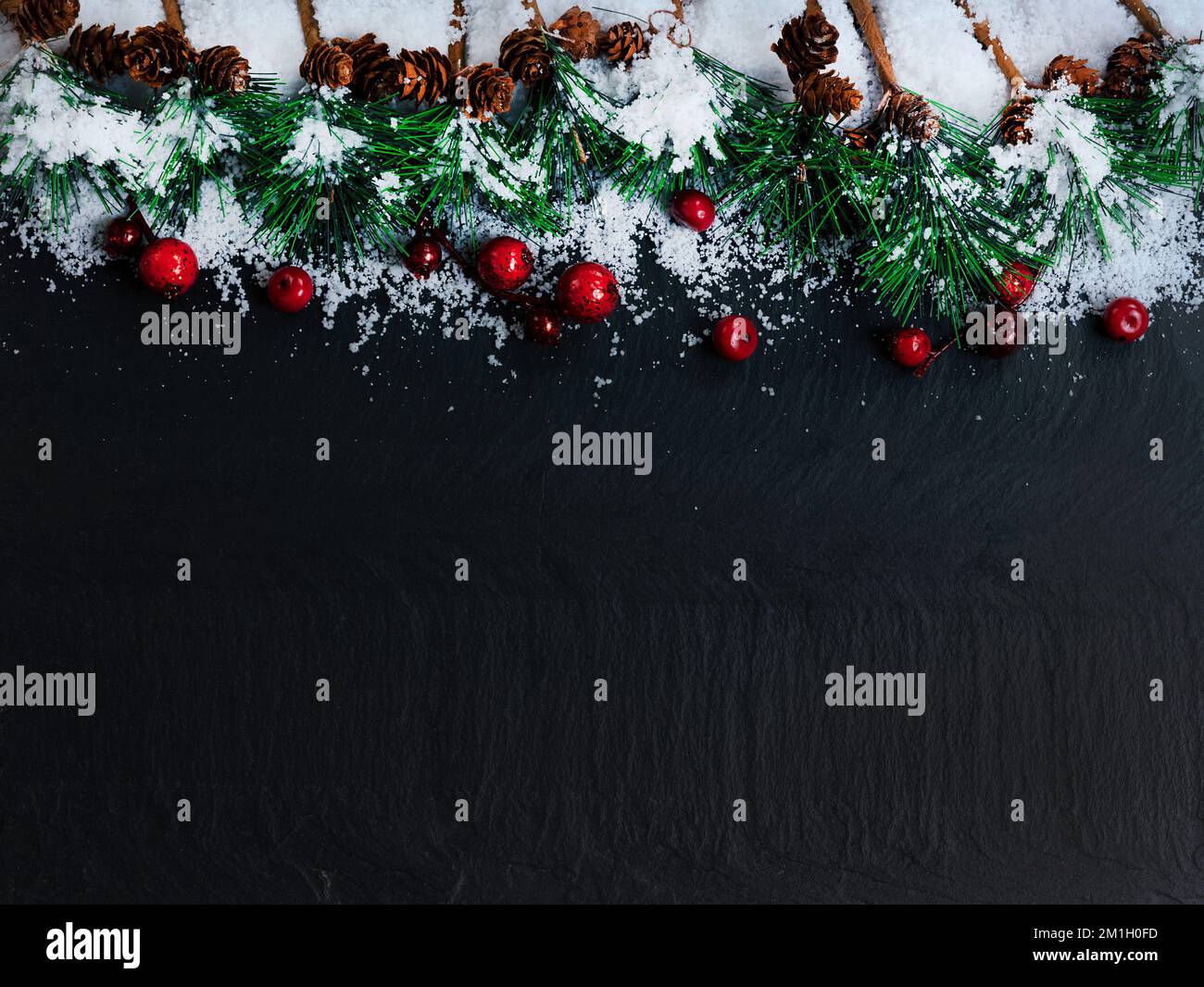 Border of Christmas snow, fir tip branches and red berries on dark ...