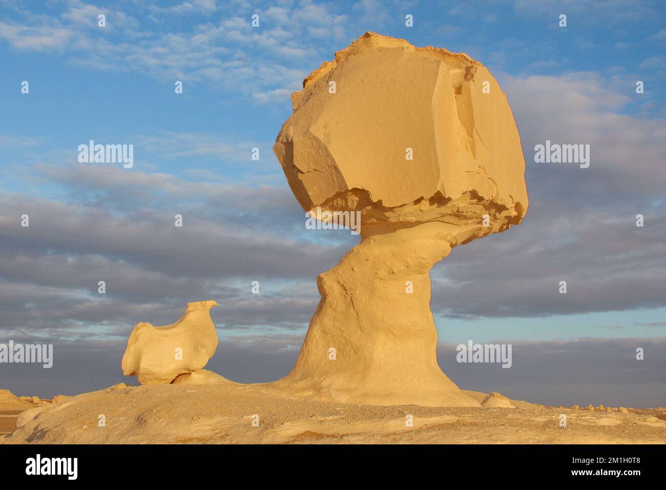 A beautiful shot of a wind-carved mushroom stone in the White Desert ...